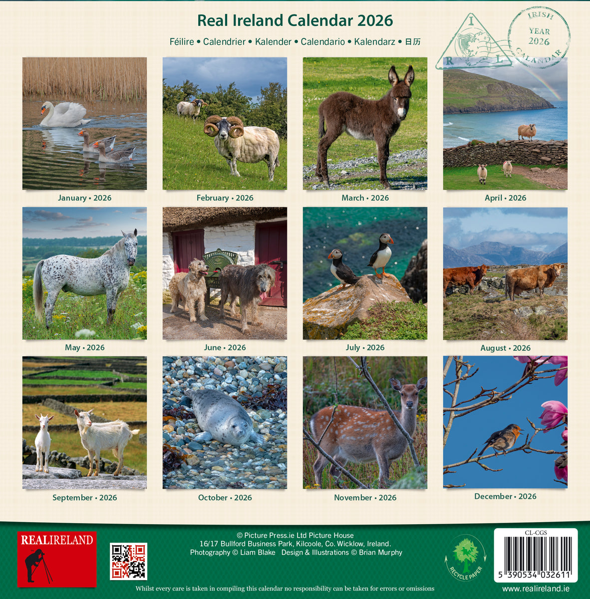 Irish Creatures Great and Small Calendar 2026 – Real Ireland - Picture ...